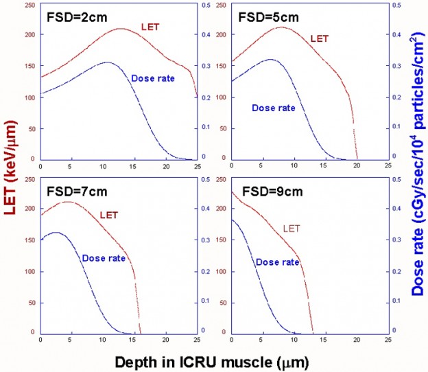 alphadepth | 京都大学放射線生物研究センター